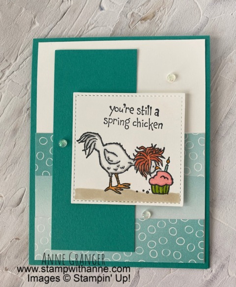 Hey Birthday Chick Bundle Available Today! - Stamp With Anne!