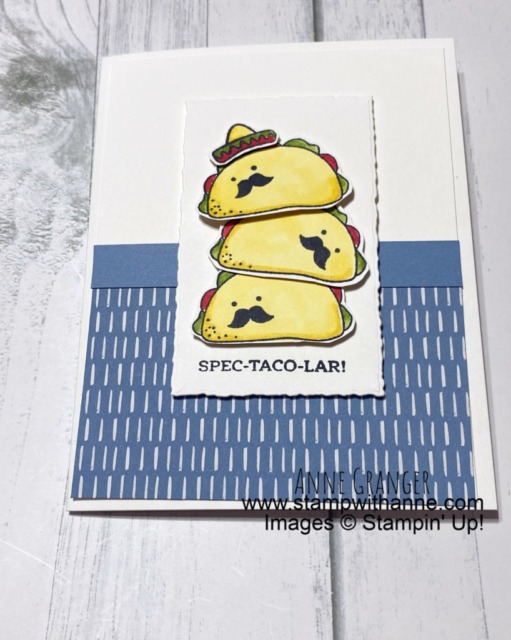 Taco Fiesta Stamp Set - 3 Projects - Crafty Session #88 - Stamp With Anne!